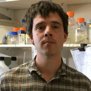 Gene Regulatory Networks Laboratory - Centre for Cancer Biology