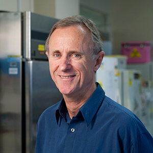 Gene Regulation Section - Centre for Cancer Biology